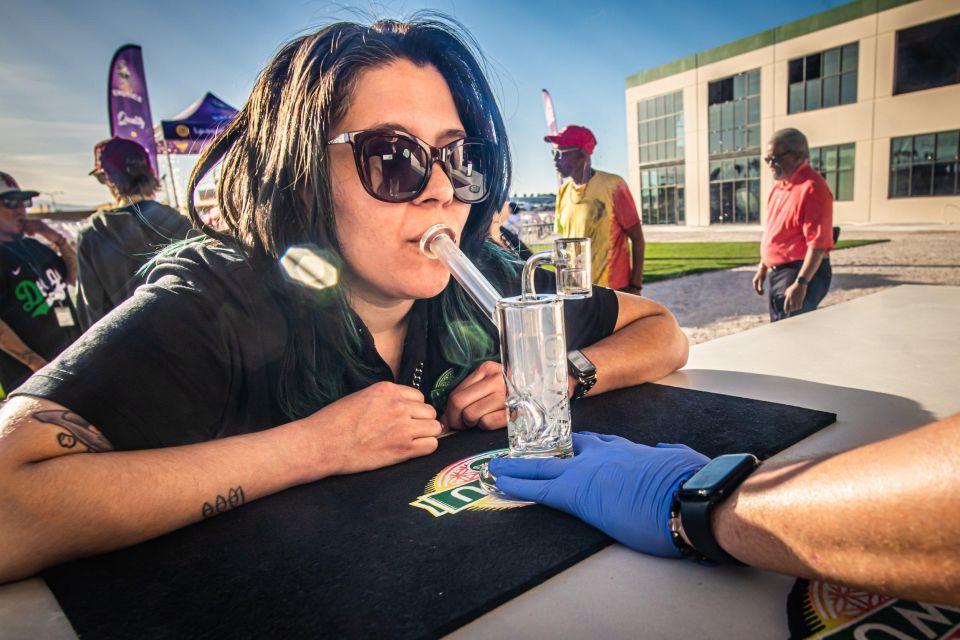 Las Vegas: Cannabis Tour with Weed Lounge & Party Bus - What You Can Expect from the Tour