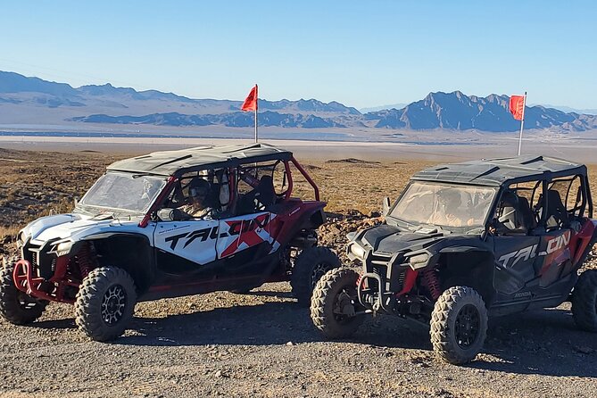 Las Vegas Desert Buggy Experience - A Full Breakdown of the Las Vegas Desert Buggy Experience
