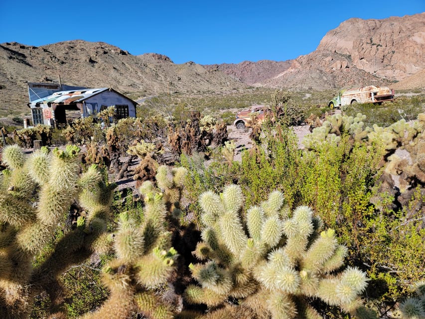 Las Vegas Eldorado Canyon & Nelson Ghost Town Adventure Tour - Who Will Love This Tour?