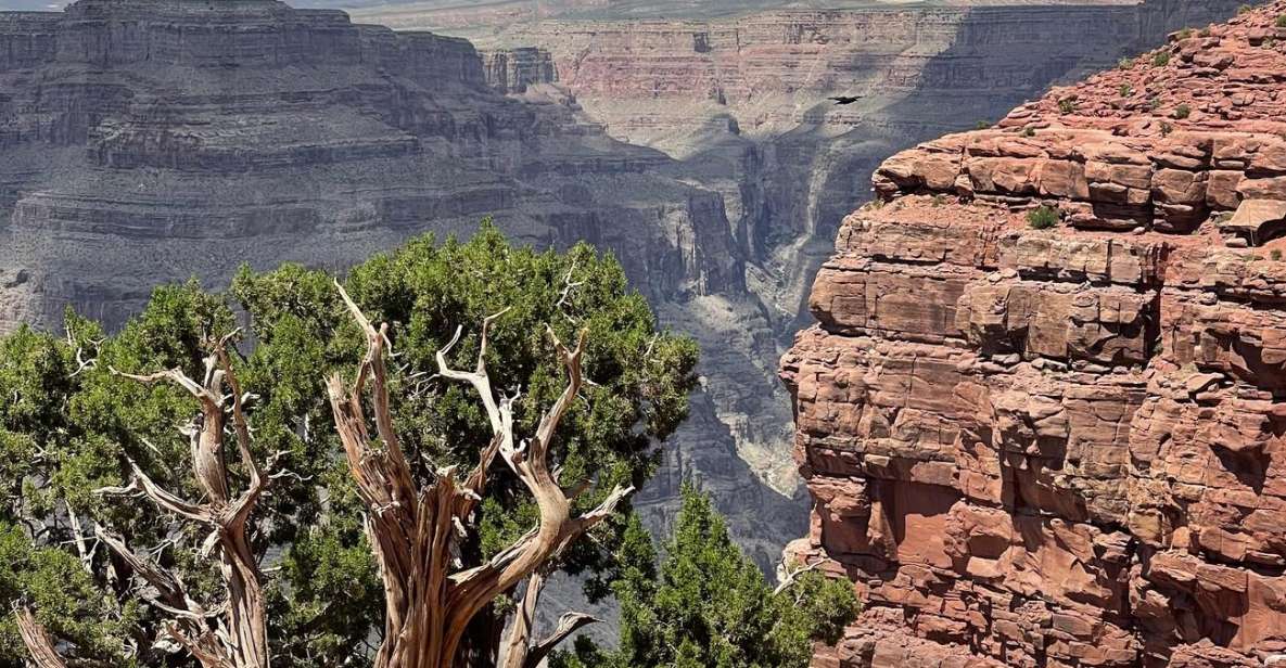 Las Vegas: Grand Canyon West, Hoover Dam & Optional Skywalk - Who is This Tour Best For?
