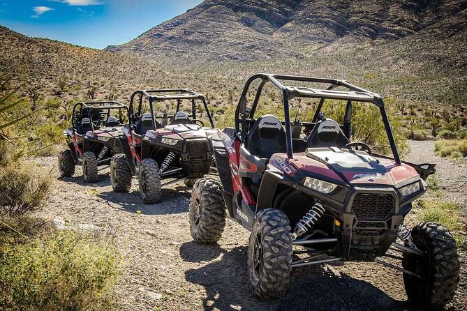 Las Vegas Mini Desert RZR Adventure - Las Vegas Mini Desert RZR Adventure Review
