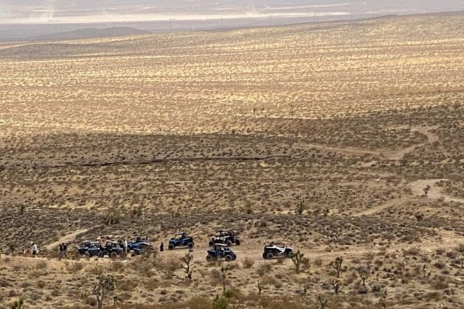 Las Vegas Mini Desert RZR Adventure - Authentic Experiences and Guest Insights