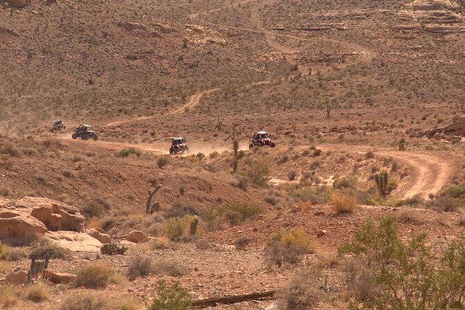 Las Vegas Mini Desert RZR Adventure - Who Will Love This Tour?