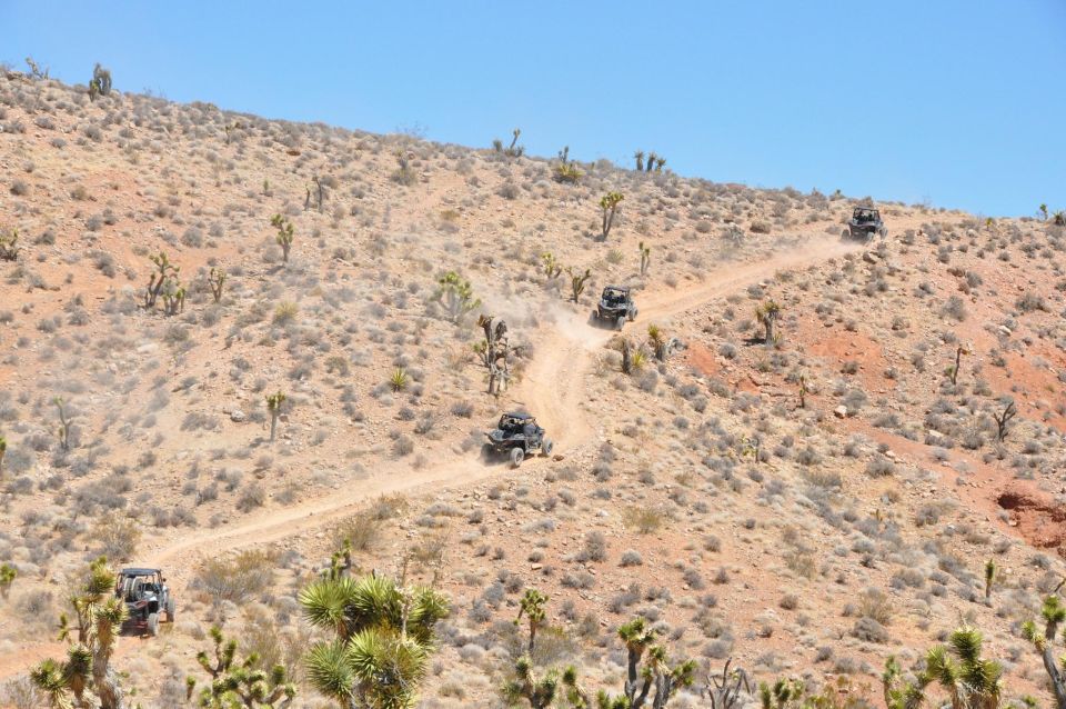 Las Vegas Mojave Off Road Adventure/Polaris RZR Guided Tour - Whats Included & Whats Not