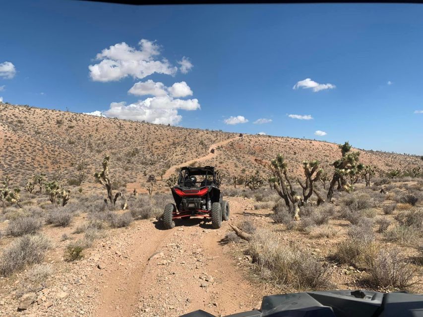 Las Vegas Mojave Off Road Adventure/Polaris RZR Guided Tour - Who Should Consider This Tour