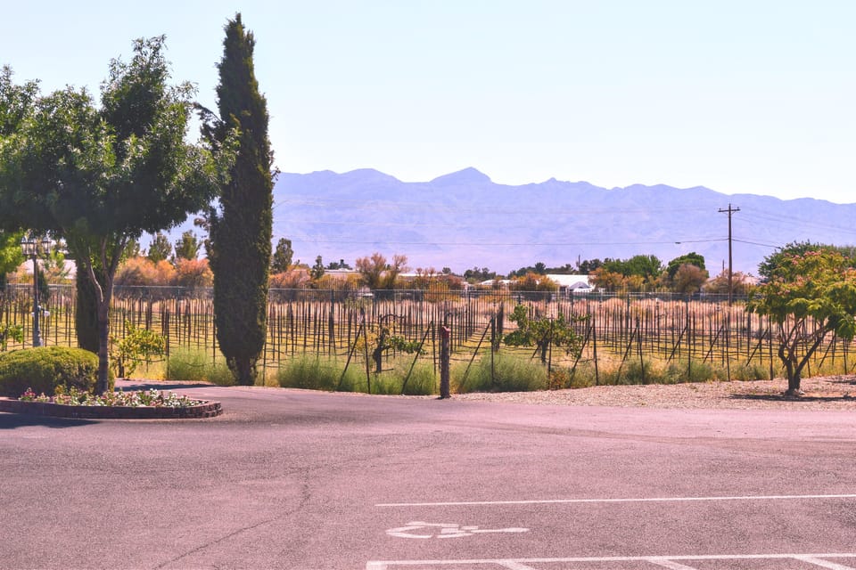 Las Vegas / Pahrump Wine Tasting Tour and snacks - What’s Included and What’s Not?