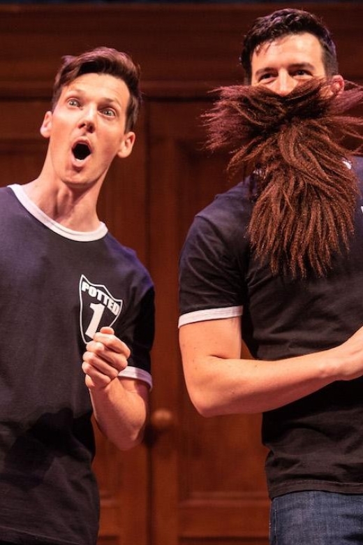 Las Vegas: Potted Potter - The Unauthorized Harry Experience - Why This Show Works Well