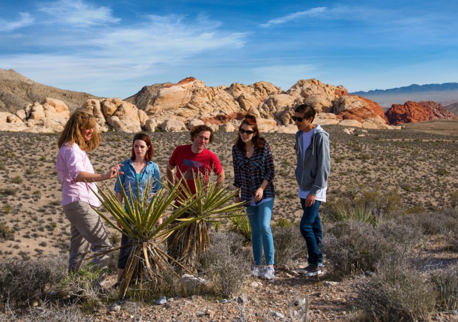 Las Vegas: Red Rock Canyon Tour & Rocky Gap 4x4 Adventure - What to Expect & Practical Tips
