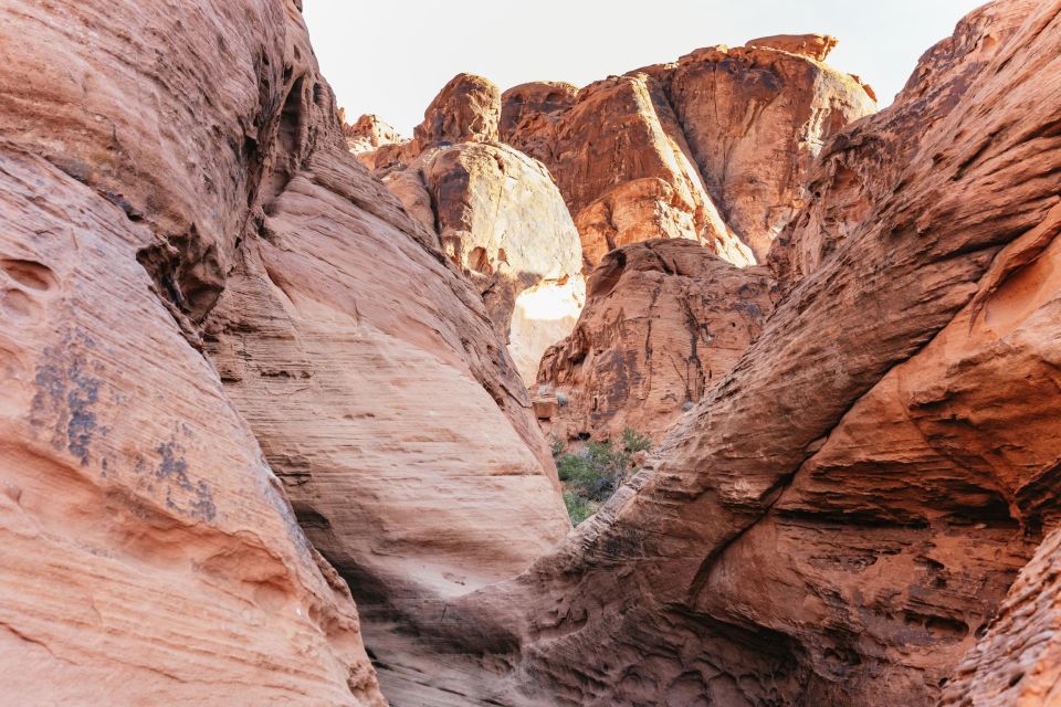 Las Vegas: Valley of Fire Guided Hike with Drinks and Snacks - Authentic Reviews and Insights