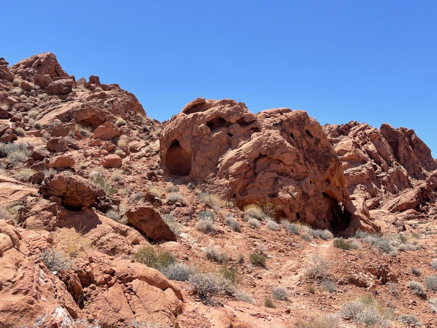 Las Vegas: Valley Of Fire State Park Tour - Final Thoughts: Who Should Book This Tour?
