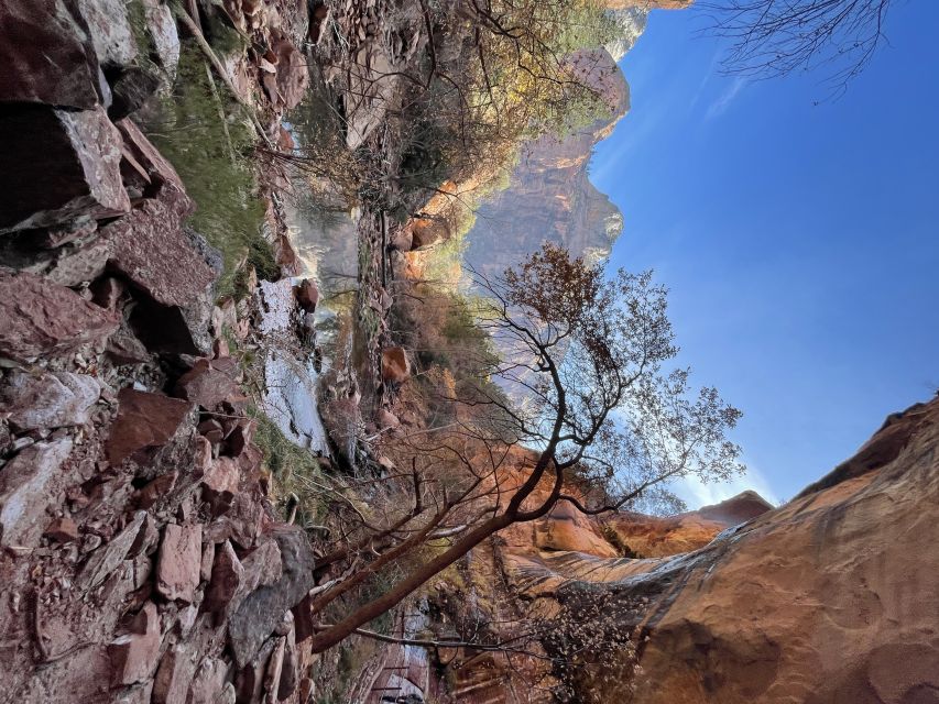 Las Vegas: VIP Guided Photography & Hiking Tour of Zion NP - What Makes This Tour Stand Out