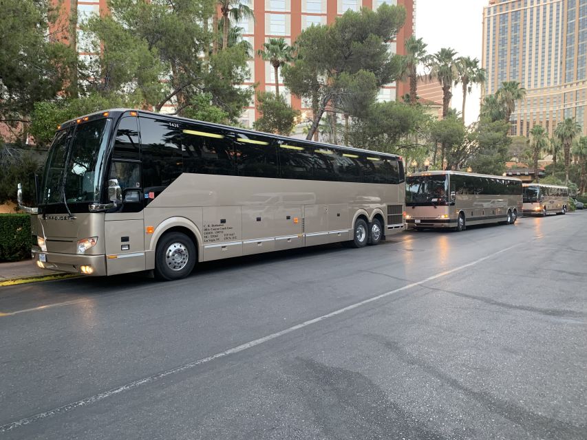 Las Vegas/Williams/Tusayan/Grand Canyon: One-Way Shuttle - The Value of the Experience