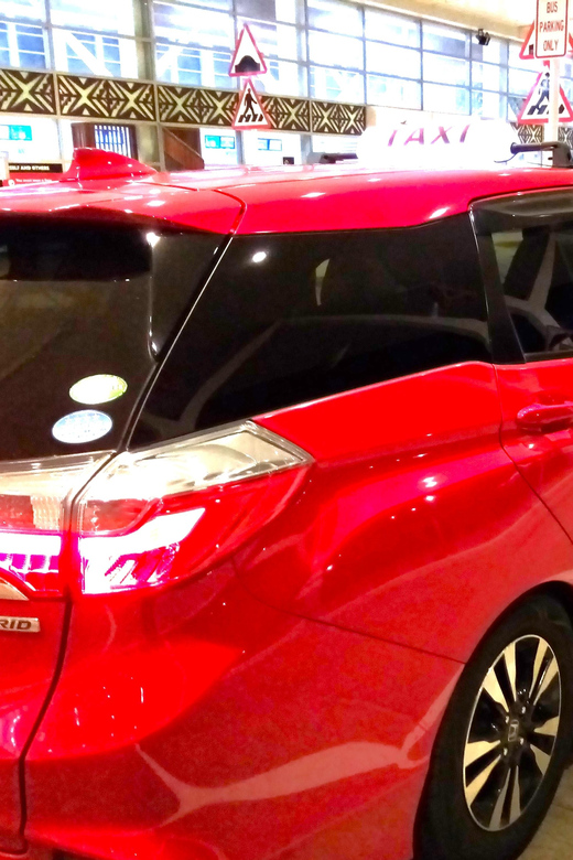 Lautoka Cruise Ship Tour - Key Points