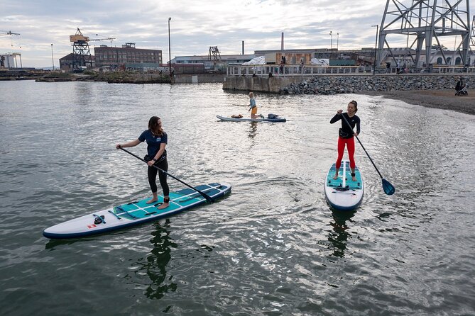 Learn to Paddle Board on the San Francisco Bay!