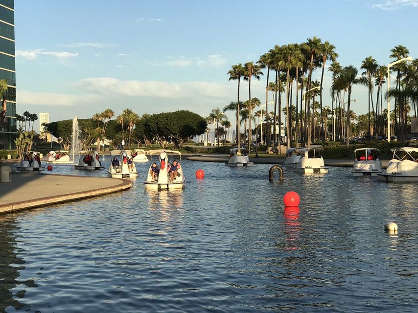 Long Beach: Swan Boat Rental at Rainbow Lagoon - Who Is This Experience Best For?