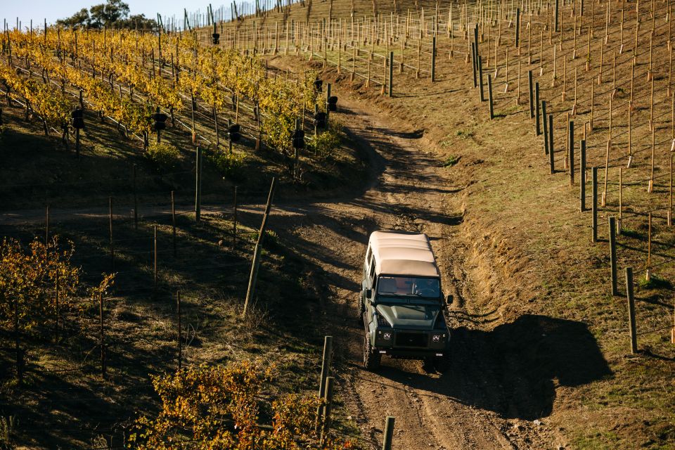 Los Angeles: Private 4x4 Vineyard Tour in Malibu - An In-Depth Look at the Malibu 4x4 Vineyard Tour