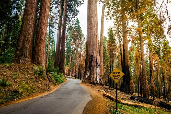 Los Angeles to San Francisco: California Parks Highlights Tour - An In-Depth Look at the California Parks Highlights Tour