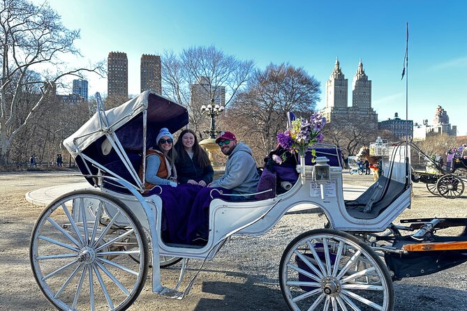 Luxury Horse and Carriage Tours in Central Park - An In-Depth Look at the Central Park Horse and Carriage Experience
