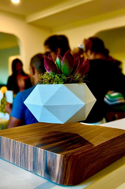 Magnetic Floating Terrarium Workshop - The Sum Up: Who Should Consider This Workshop?