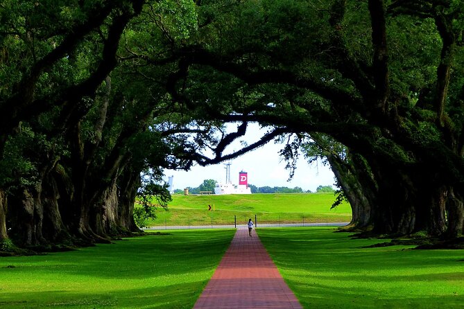 Majestic Oak Alley Plantation Tour - The Value of the Tour