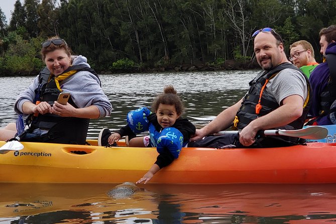 Manatee and Dolphin Kayaking | Wildlife Refuge (Titusville)