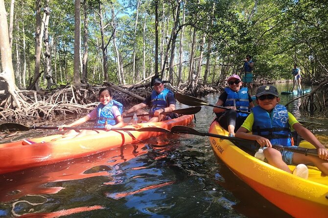Mangrove Jungle Exploration on SUP/Kayak
