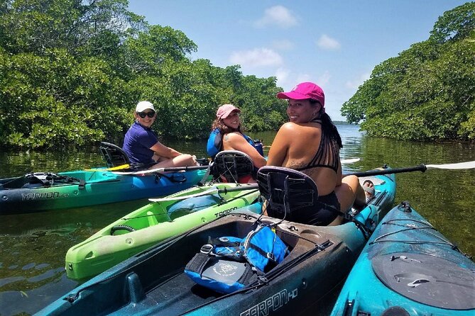 Mangrove Tunnel Kayak Adventure in Key Largo