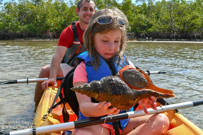 Mangrove Tunnels & Mudflats Kayak Tour - Local Biologist Guides