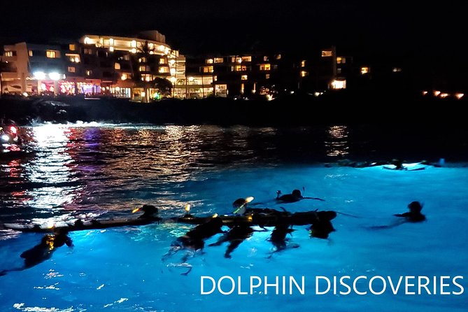 Manta Ray Night Snorkel at Kona, Big Island - Practical Tips for the Best Experience
