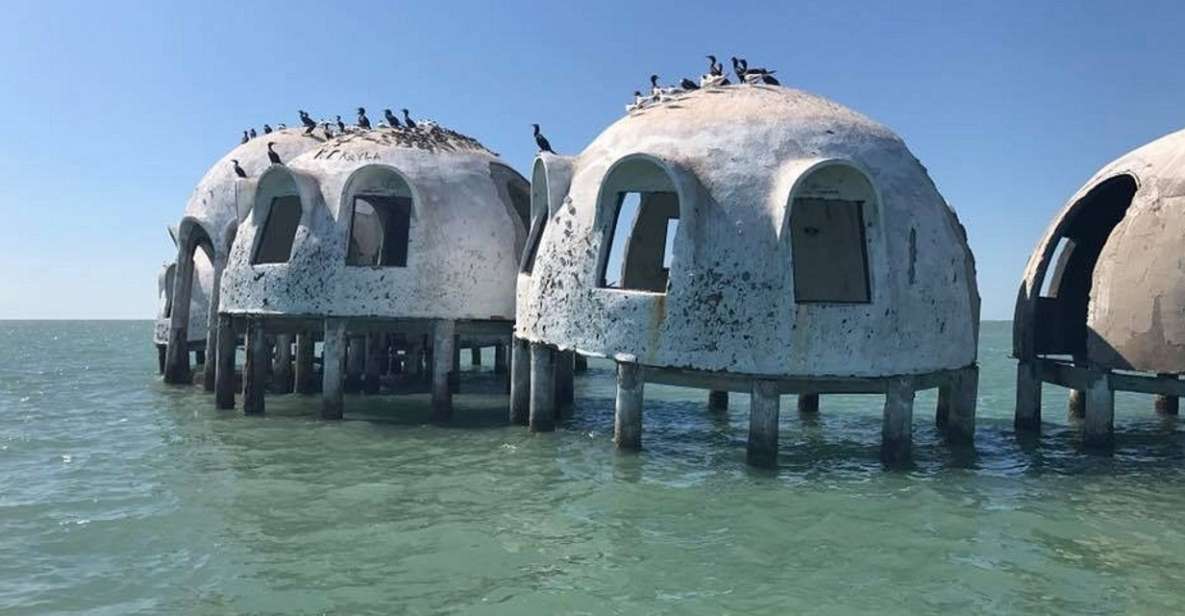 Marco Island: Ten Thousand Islands Shelling & Dolphin Tour
