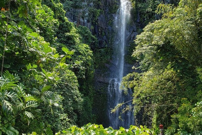 Maui Exclusive - Road to Hana Adventure - Just for Your Group - What Makes the Guides Stand Out?