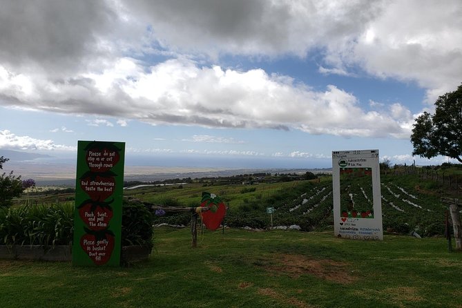 Maui Exclusive - Road to Hana Adventure - Just for Your Group - Final Thoughts: Is This the Tour for You?