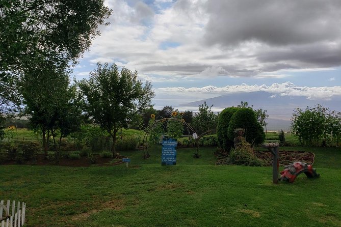 Maui Exclusive - Road to Hana Adventure - Just for Your Group - FAQ