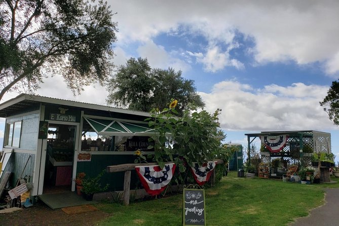 Maui Exclusive - Road to Hana Adventure - Just for Your Group - Final Words