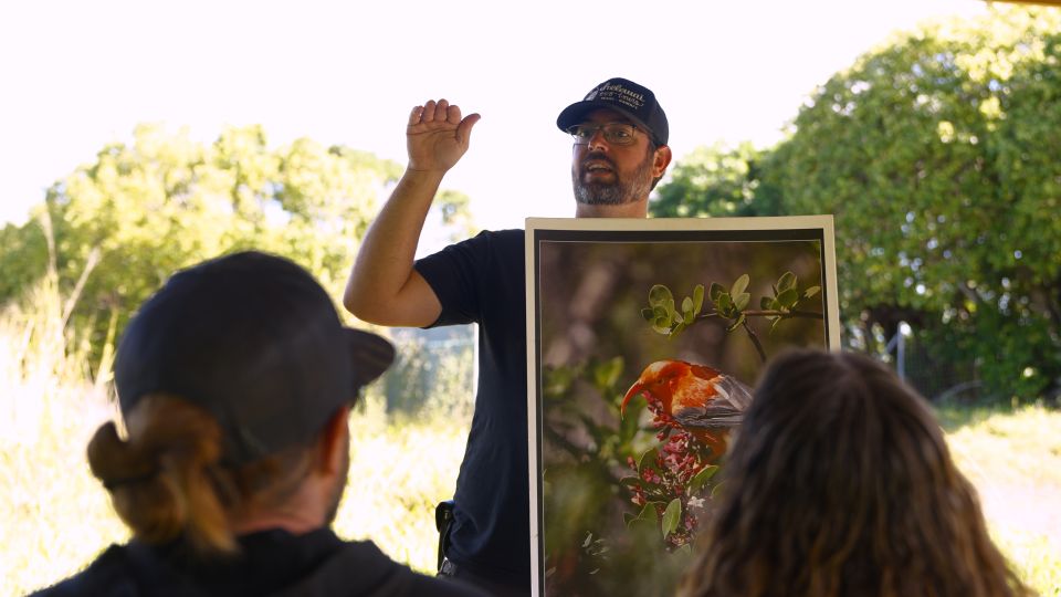 Maui: Honolua Ridgeline Informational Hike - Exploring the Honolua Ridgeline Hike: What You Can Expect