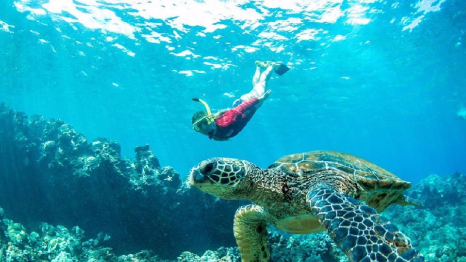 Maui: Kaanapali Beach 5-hr Snorkel w/ BBQ Lunch & Open Bar - The Sum Up