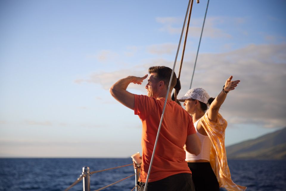 Maui: Morning Sail with the Whales Ma'alaea - Authentic Experiences and Authentic Encounters