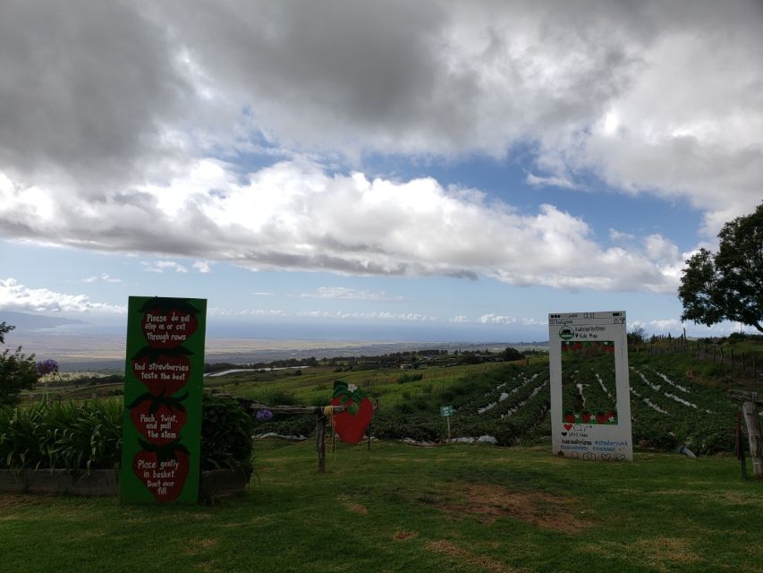 Maui: Road to Hana Adventure with Breakfast & Lunch - Final Thoughts