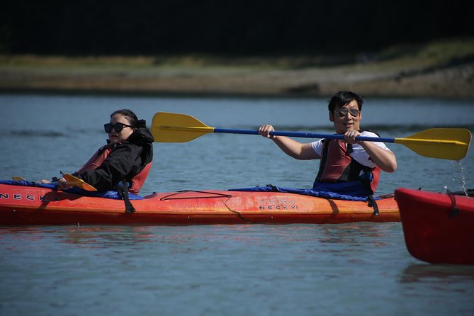 Mendenhall Glacier View Sea Kayaking - Overall Value & Who Will Love It