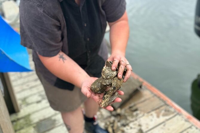 Mere Point Oyster Farm Tour - Practical Details & Tips