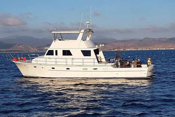 Mexico Special 2-day Tour from Los Angeles - What Makes This Tour Stand Out?