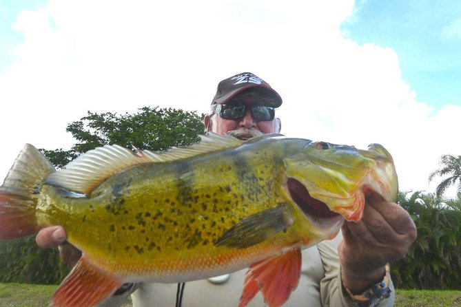 Miami Airport Lakes Peacock Bass Fishing Trip (1 to 4 ppl) - Discovering Miami’s Airport Lakes: What to Expect