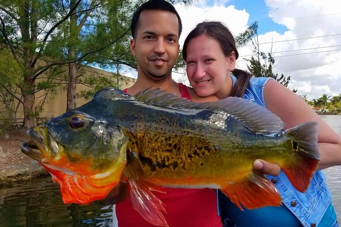 Miami Airport Lakes Peacock Bass Fishing Trip (1 to 4 ppl) - The Sum Up