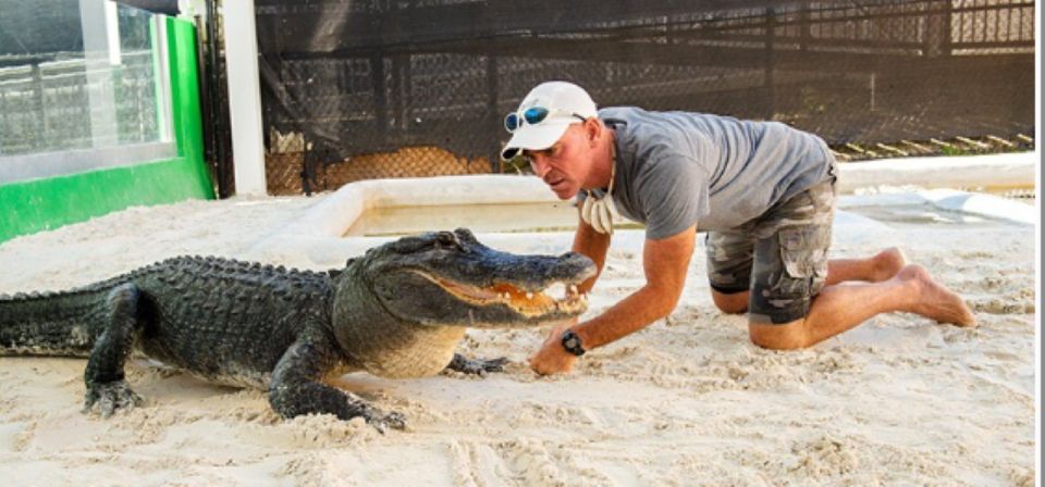 Miami Beach: Everglades Airboat Tours and Rides - Practical Tips for Your Tour