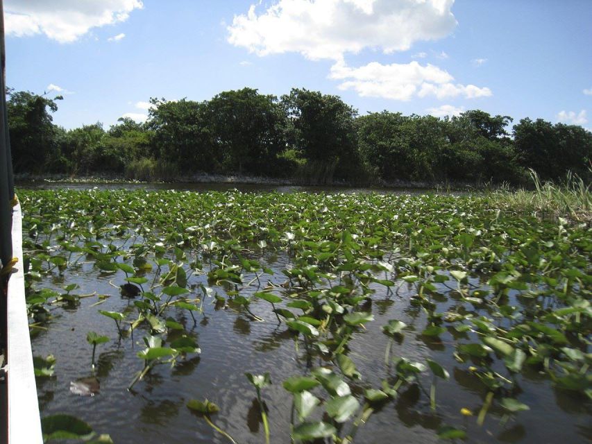 Miami Beach: Everglades Airboat Tours and Rides - FAQ