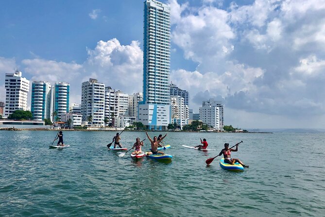 Miami Beach Paddleboard Rental with Instruction - The Sum Up