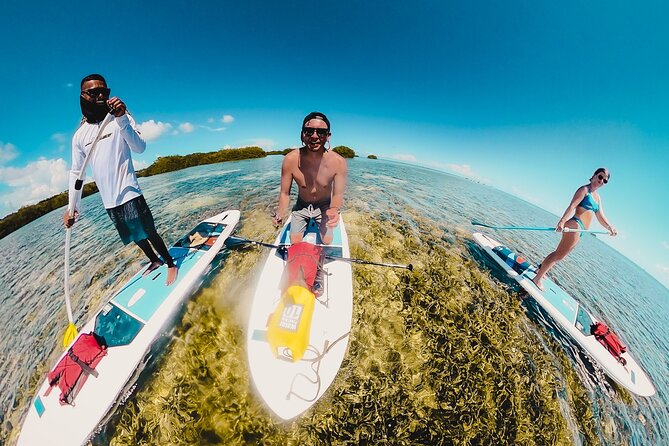 Miami Beach Paddleboard Rental with Instruction - FAQ