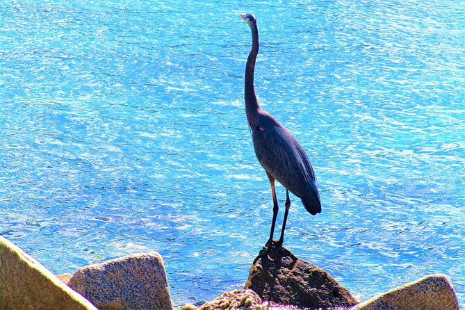 Miami Beach: South Point Park Tour - Safety and Accessibility
