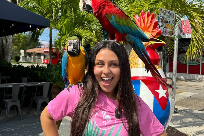 Miami Bus Tour - Flamingo Bus Miami Tours Open-Air Trolley - Final Thoughts: Who Is This Tour Best For?