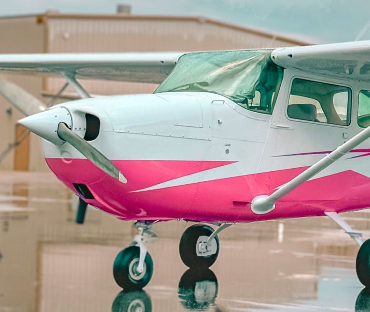 Miami: Downtown Private Airplane Tour with Soft Drinks - Miami: Downtown Private Airplane Tour with Soft Drinks